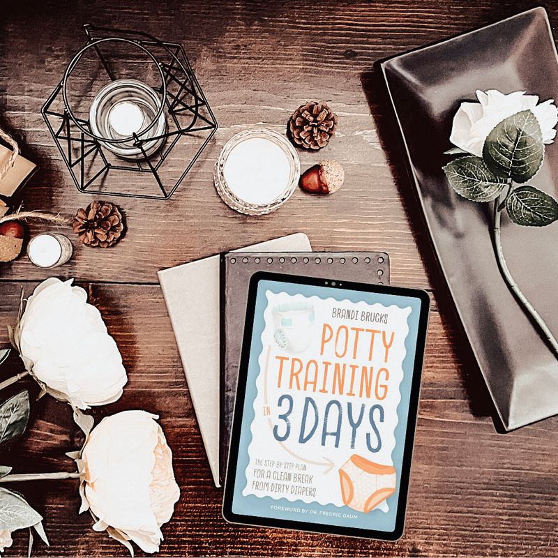 Potty Train Like a Pro in JUST 3 DAYS?!